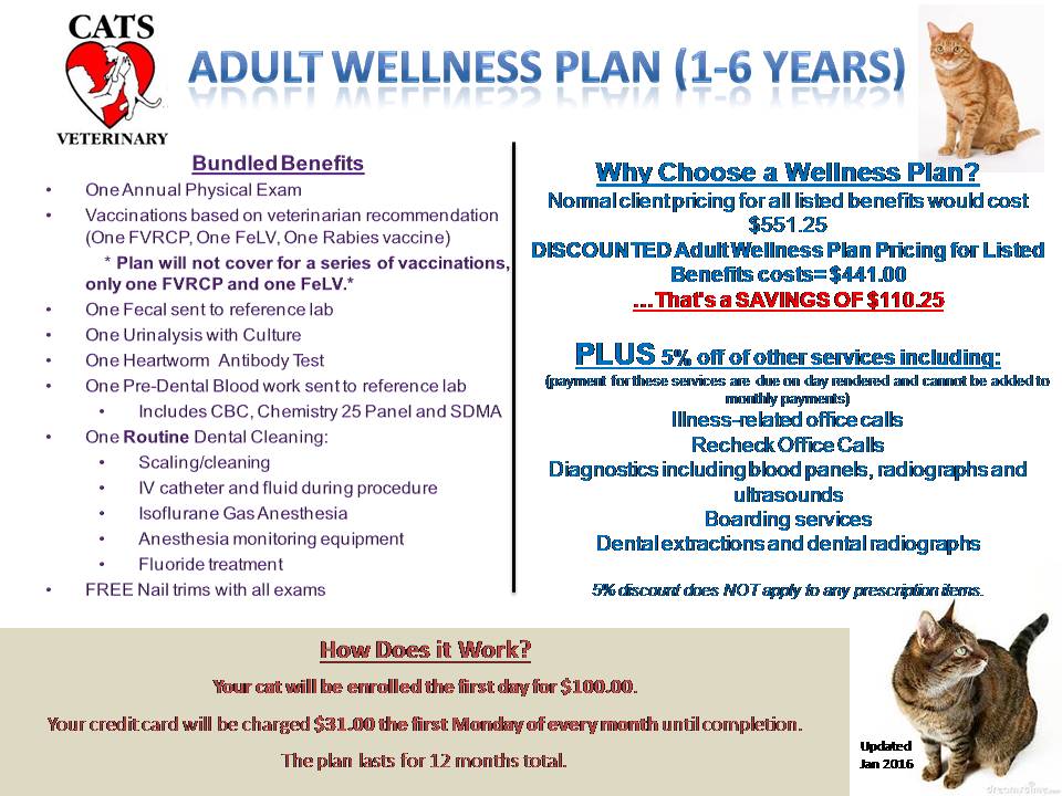 Best Wellness Plans For Cats at Krystal Russell blog