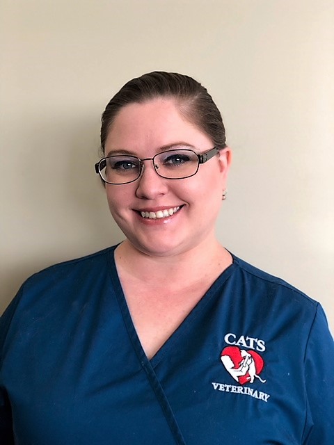 Cats Veterinary : About Us - Cats Veterinary
